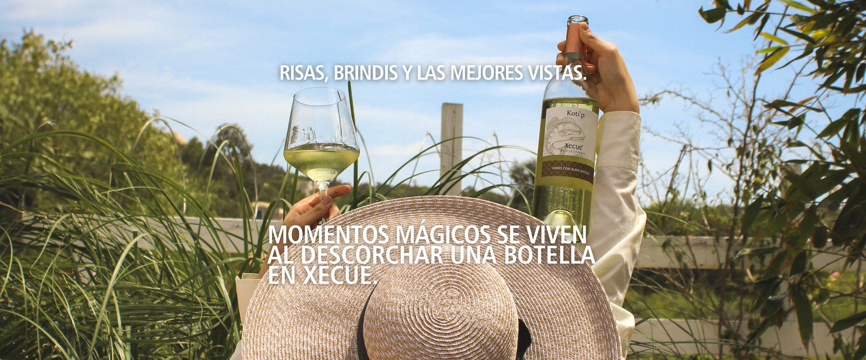 Xecué - Vinos con Alma Nativa – XECUÉ