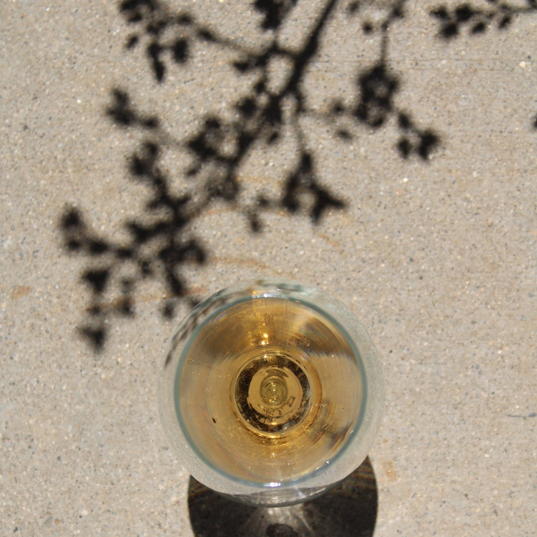 Experiencia. – XECUÉ